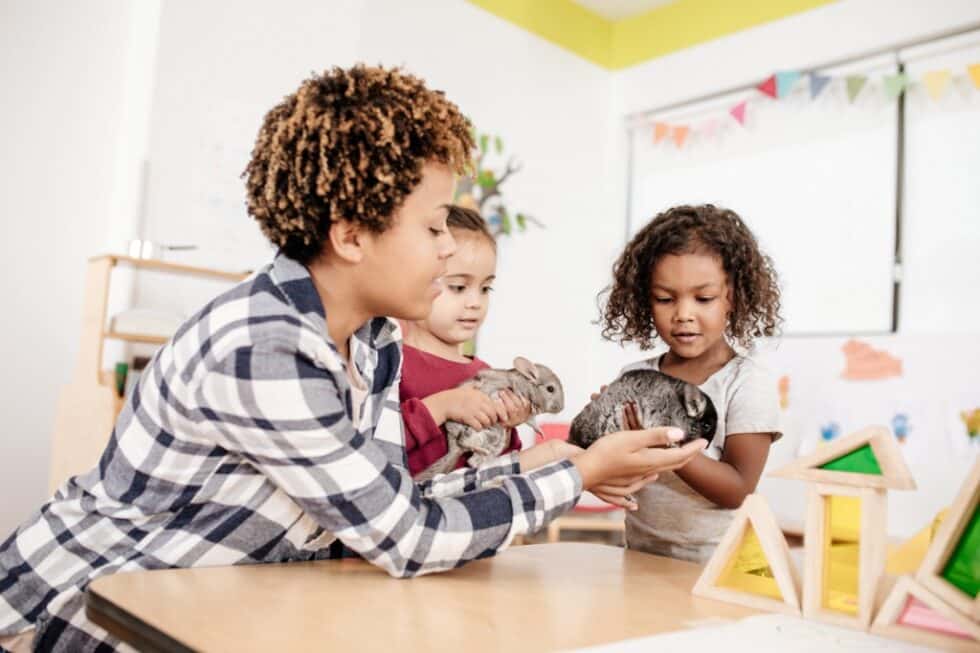 12 Animal-Themed Activities That Young Students Will Love!